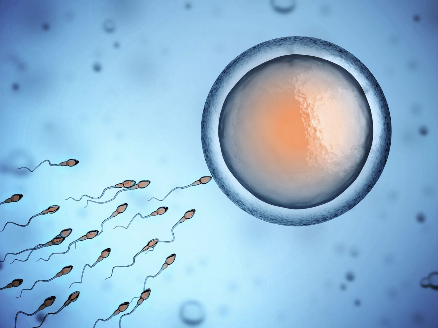 What Is Uterine Factor Infertility Path Fertility
